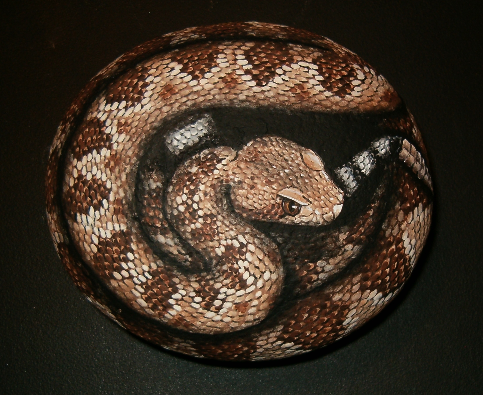 More Snakes | amylenore